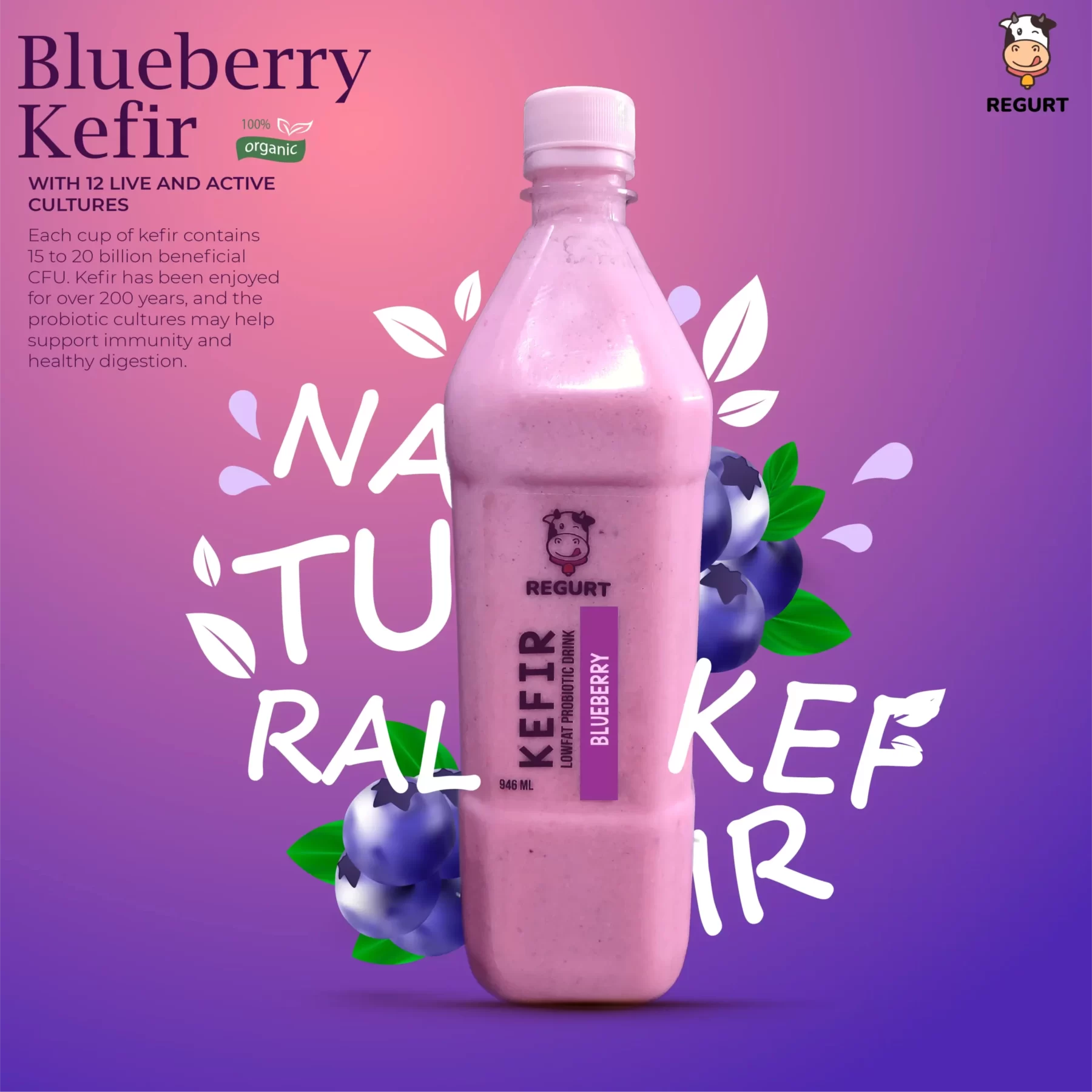 Buy Milk Kefir in Delhi NCR || Probiotic Milk Kefir || REGURT
