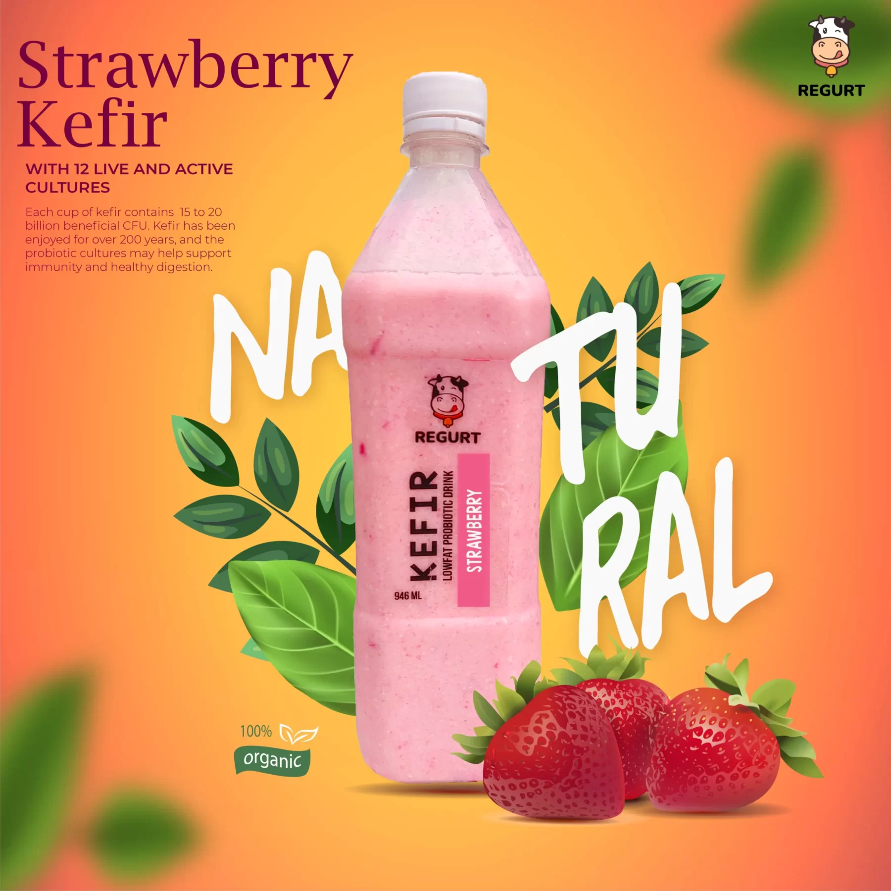 Buy Milk Kefir in Delhi NCR || Probiotic Milk Kefir || REGURT